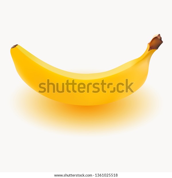 Banana Realistic Vector Isolated On White Stock Vector (Royalty Free ...