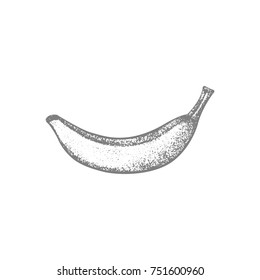 Banana Vector Draw Stock Vector (Royalty Free) 751600960 | Shutterstock