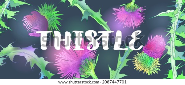 Banner Design Thistle Herbal Engraved Style Stock Vector (Royalty Free ...