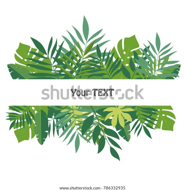 Banner Tropical Leaves Design Background Template Stock Vector (Royalty ...