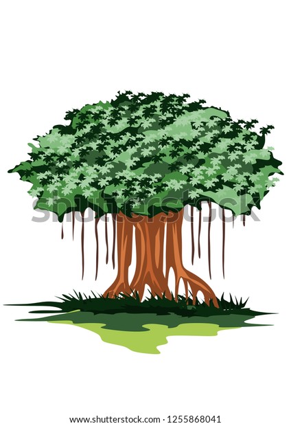 Banyan Tree Background Vector Illuatration Stock Vector (Royalty Free ...