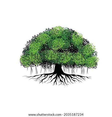 Banyan Tree Drawing | Free download on ClipArtMag