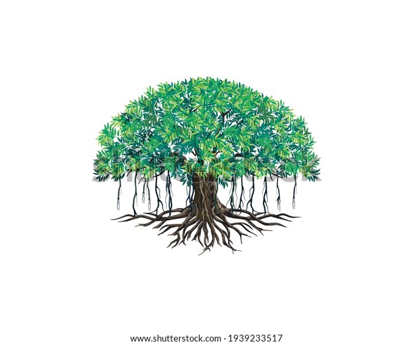 Banyan Tree Vector Illustrations Isolated On Stock Vector (Royalty Free ...