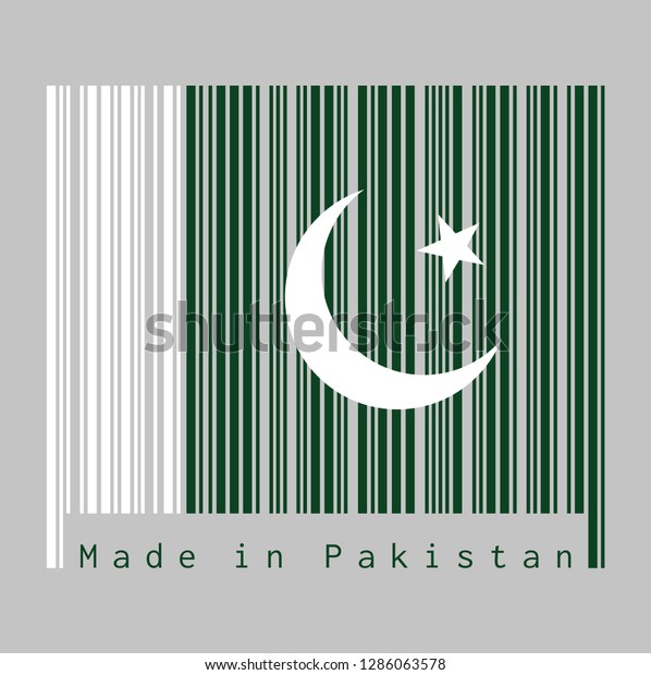 Barcode Set Color Pakistan Flag White Stock Vector (Royalty Free ...