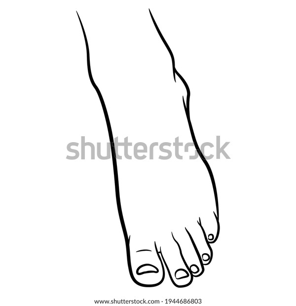 Bare Human Foot Black White Linear Stock Vector (Royalty Free ...