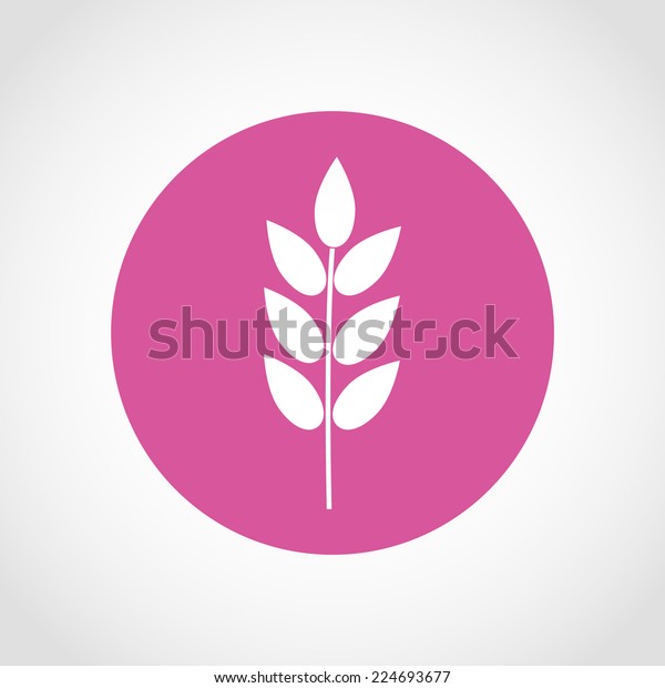 Barley Icon Isolated On White Background Stock Vector (Royalty Free ...
