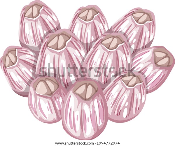 Barnacles Cartoon Style On White Background Stock Vector (Royalty Free ...