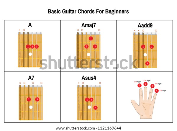 Basic Guitar Chords Beginners Guitar Chords Stock Vector (Royalty Free ...