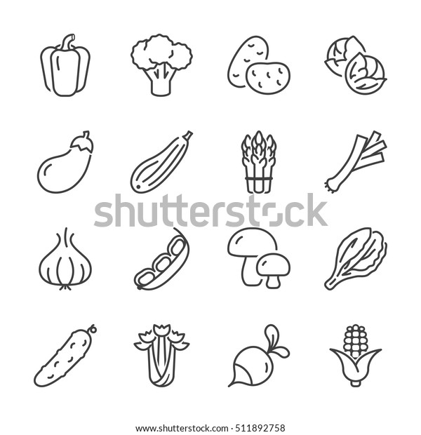 Basic Vegetables Thin Line Icon Set Stock Vector (Royalty Free) 511892758 Basic Vegetables Thin Line Icon Set Stock Vector (Royalty Free) 511892758