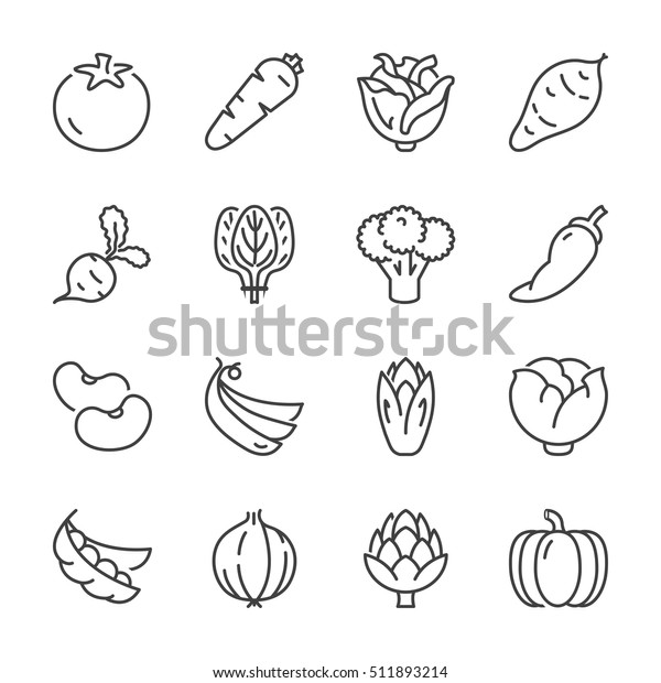 Basic Vegetables Thin Line Icon Set Stock Vector (Royalty Free) 511893214 Basic Vegetables Thin Line Icon Set Stock Vector (Royalty Free) 511893214