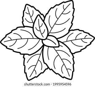 Basil Herbs Vector Outline Illustration Stock Vector (Royalty Free ...