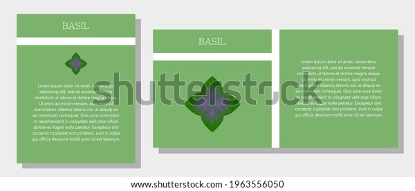 Basil Information Banner Tag Two Designs Stock Vector (Royalty Free ...