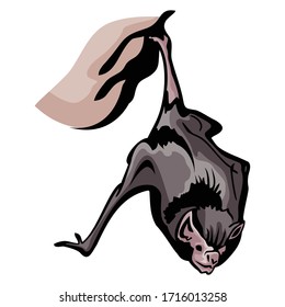 Bat Animal Vector Illustration Template Icon Stock Vector (Royalty Free ...