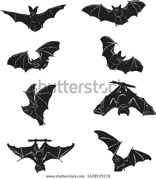 Bat Bat Flight Motion Different Positions Stock Vector (Royalty Free ...