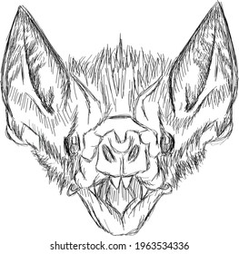 Bat Sketch Portrait Stylized Vector Art Stock Vector (Royalty Free ...
