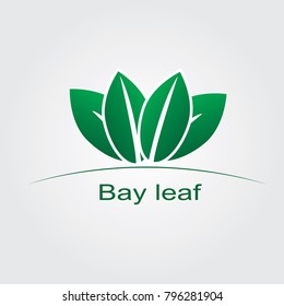 Bay Leaf Icon Vector Illustration Stock Vector (Royalty Free) 796281904 ...