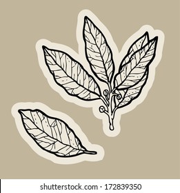 Bay Leaves Cartoon Vector 스톡 벡터(로열티 프리) 172839350 | Shutterstock