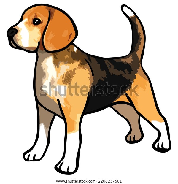 Beagle Dog Pet Colored Drawing Stock Vector (Royalty Free) 2208237601 ...