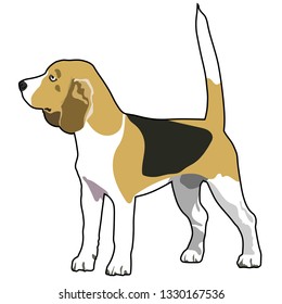 274 Beagle side profile Images, Stock Photos & Vectors | Shutterstock