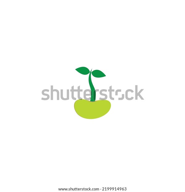 Bean Sprout Illustration Free Template Stock Vector (Royalty Free ...