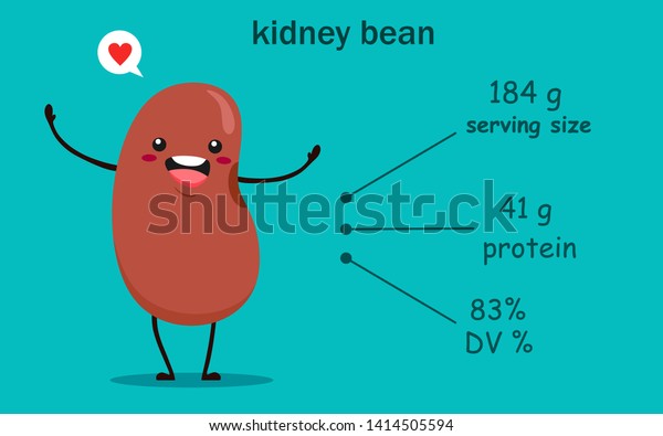 Beans Cartoon Style Description Proteins Specific Stock Vector (Royalty ...