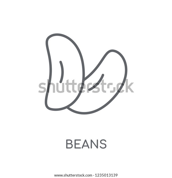Beans Linear Icon Modern Outline Beans Stock Vector (Royalty Free ...