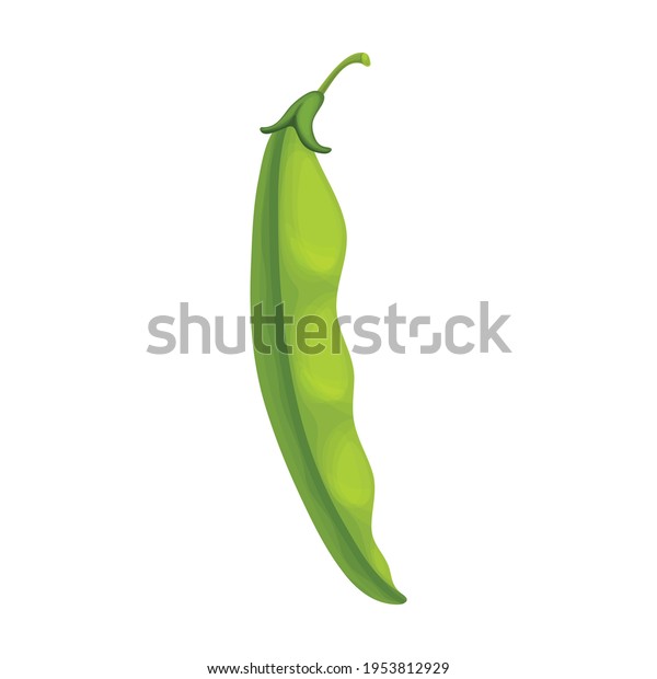 Beans Vector Cartoon Icon Vector Illustration Stock Vector (Royalty ...
