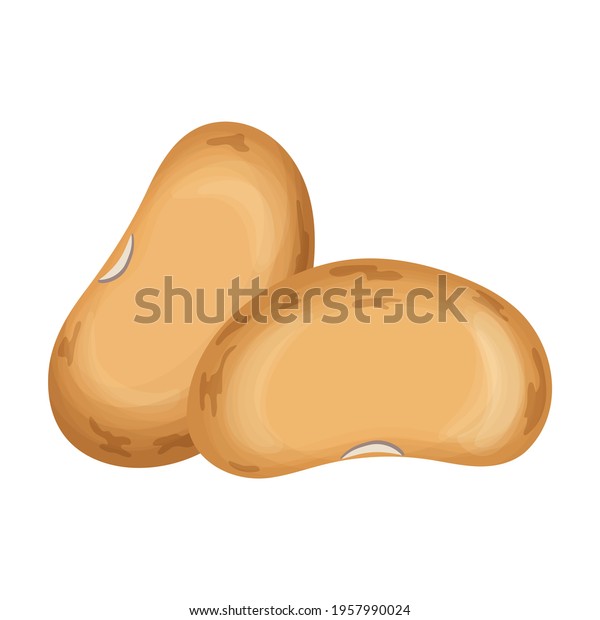 Beans Vector Cartoon Icon Vector Illustration Stock Vector (Royalty ...