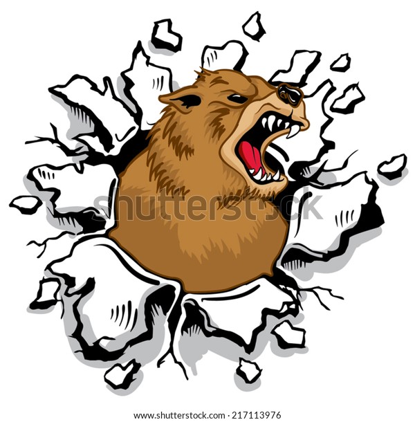 Bear Bursting Through Wallmascotsports Stock Vector (Royalty Free ...