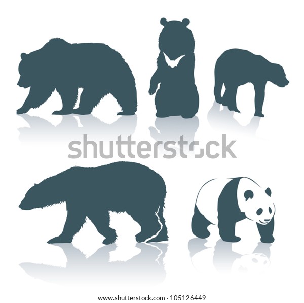 Vektor Stok Bear Species Vector Illustration (Tanpa Royalti) 105126449 ...