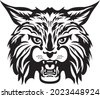 2,626 Bearcat Royalty-Free Images, Stock Photos & Pictures | Shutterstock