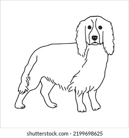 Beautiful Cocker Spaniel Line Artbear Sketchvector Stock Vector ...
