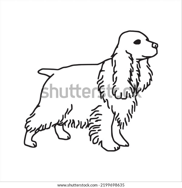 Beautiful Cocker Spaniel Line Artbear Sketchvector Stock Vector ...