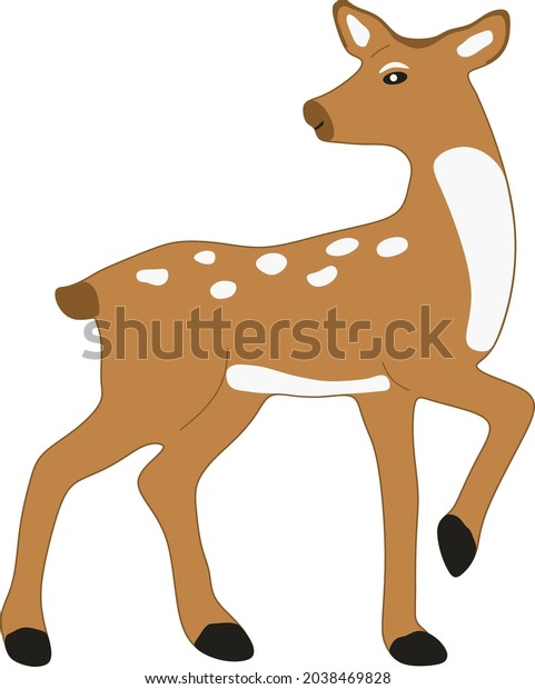 Beautiful Doe White Spots Stands Looking Stock Vector (Royalty Free ...