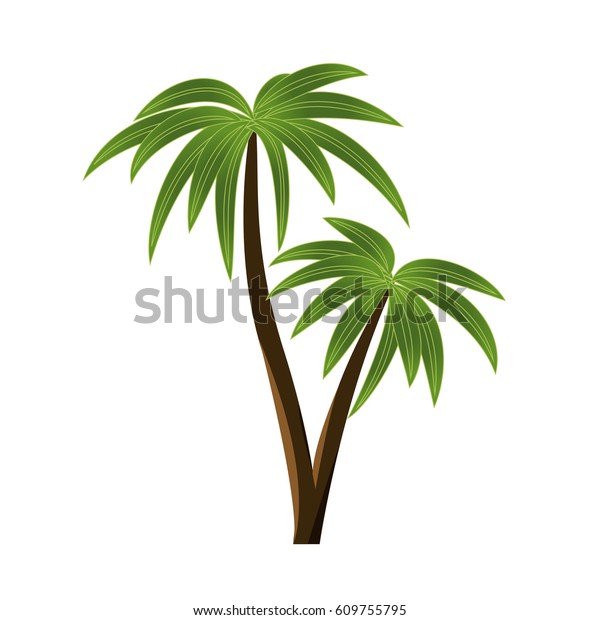 Beautiful Double Coconut Tree Realistic Leaves Stock Vector (Royalty ...