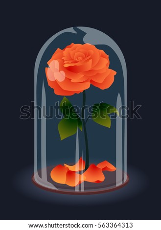 Beautiful Elegant Red Rose Under Glass Vector de stock (libre de ...