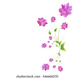 Beautiful Color Flowers Isolated On White: vector de stock (libre de ...