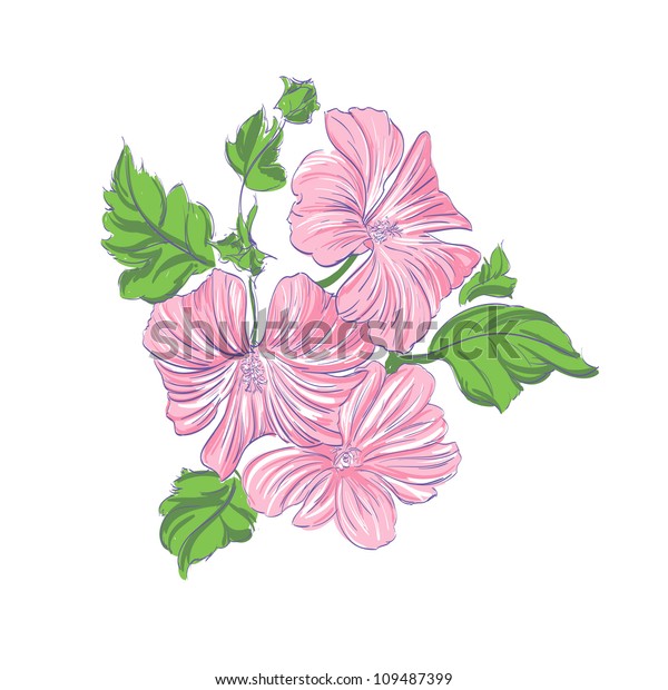 Beautiful Flowers Pink Drawing Vector Illustration Stock Vector ...