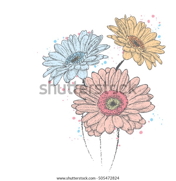 Hermosa gerbera. Ilustración vectorial de una: vector de stock (libre ...