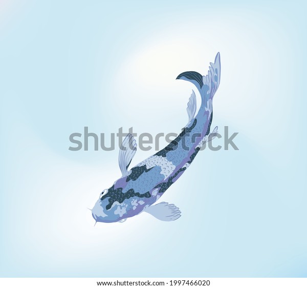 Beautiful Koi Fish Hand Drawing Style Stock Vector (Royalty Free ...
