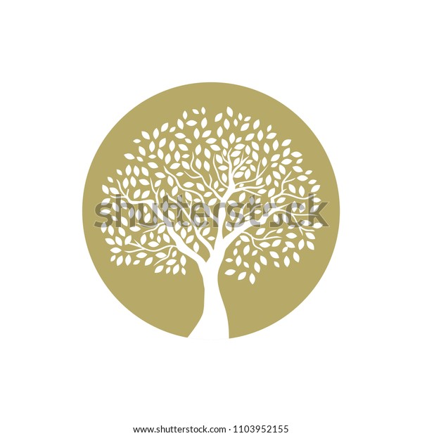Beautiful Oak Tree Gold Logo Icon Stock Vector (Royalty Free ...