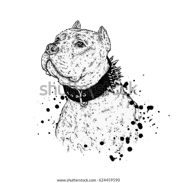 Beautiful Pit Bull Vector Illustration Postcard Stock Vector (Royalty ...