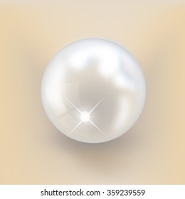 Beautiful Realistic Pearl Illustration Vector Stock Vector (Royalty ...