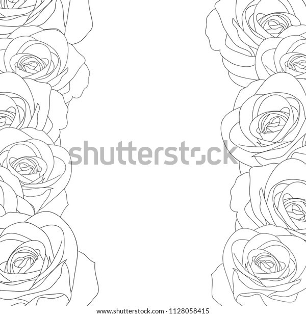 Beautiful Rose Outline Border Rosa Isolated Stock Vector (Royalty Free ...