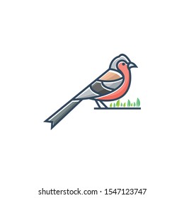 Beautiful Sparrow Illustration Design Template Bird Stock Vector ...