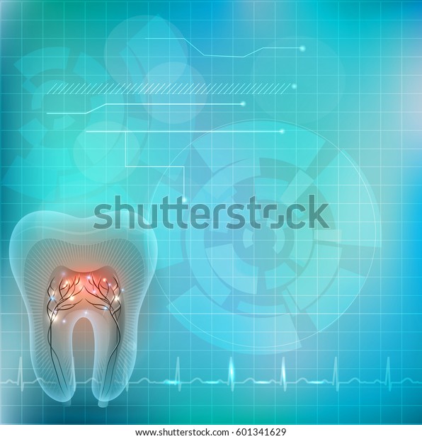 Beautiful Transparent Tooth Cross Section On Stock Vector (Royalty Free ...
