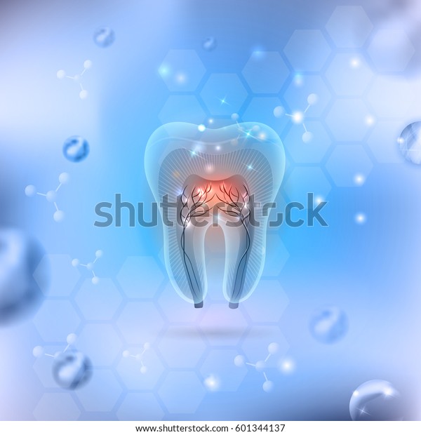 Beautiful Transparent Tooth Cross Section On Stock Vector (Royalty Free ...