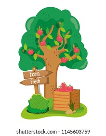 Apple Tree Fruits Inside Wood Farm Stock Vector (Royalty Free) 1145620286