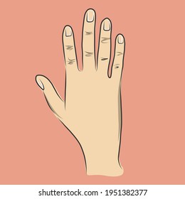 Beautiful Vector Beige Hand Illustration Stock Vector (Royalty Free ...