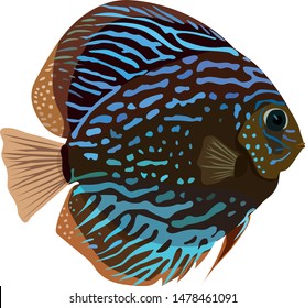 331 Discus fish drawing Images, Stock Photos & Vectors | Shutterstock